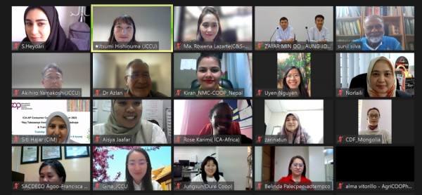 Webinar on Key Takeaways from the Committees’ Workshops and Training ...